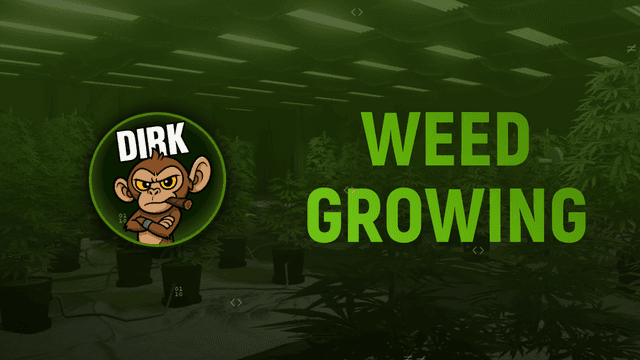 Weed Growing | DirkScripts | QBCore, QBox & ESX FiveM Scripts
